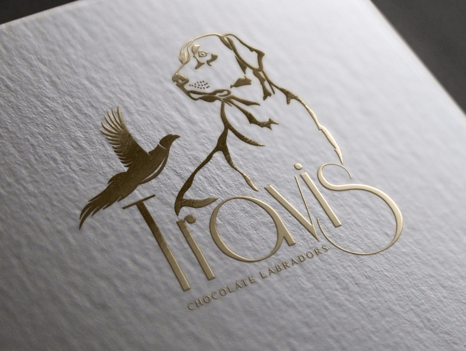 DOG KENNEL LOGO DESIGN LOGOS FOR BREEDERS AND FARMS
